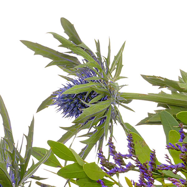 Liegestrauß "Verbundenheit" - Blumen online verschicken auf FloraPrima.de