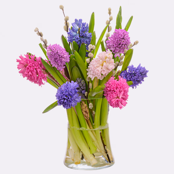 Frühling – Frische Blumen von FloraPrima