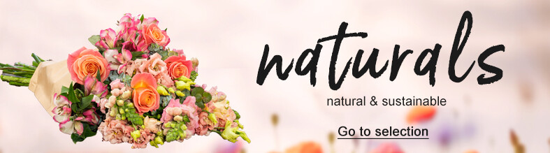 Home - Send flowers online with FloraPrima.de